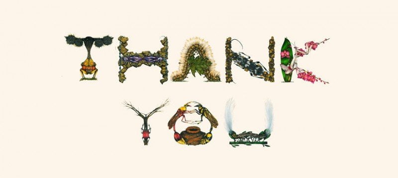 The Insect And Antropod Alphabet: Perfect Art For Bug-Loving Boys