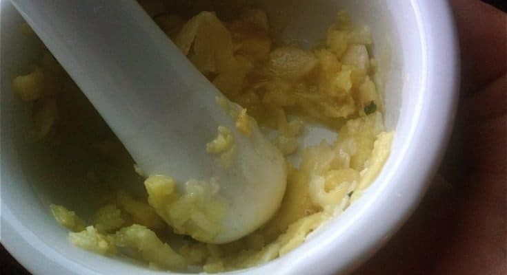 How to DIY This Special and Effective Garlic Natural Flea Killer