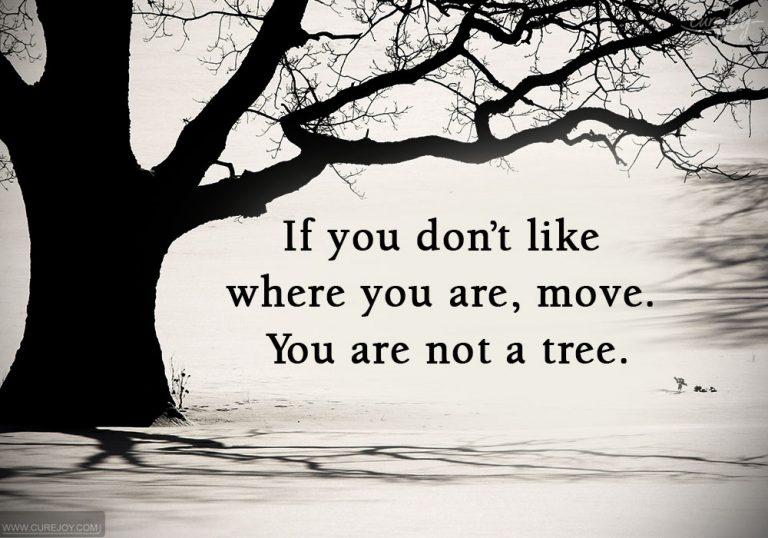 11 Inspirational Quotes: That Will Make You Push Forward